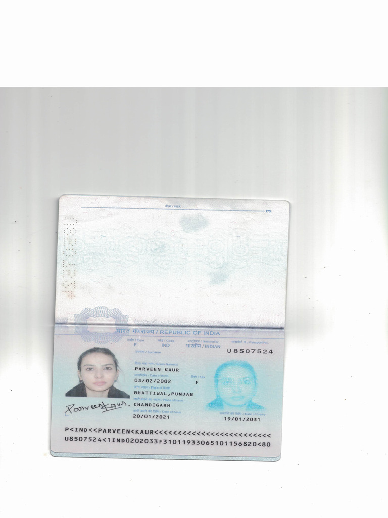 Passport | PDF