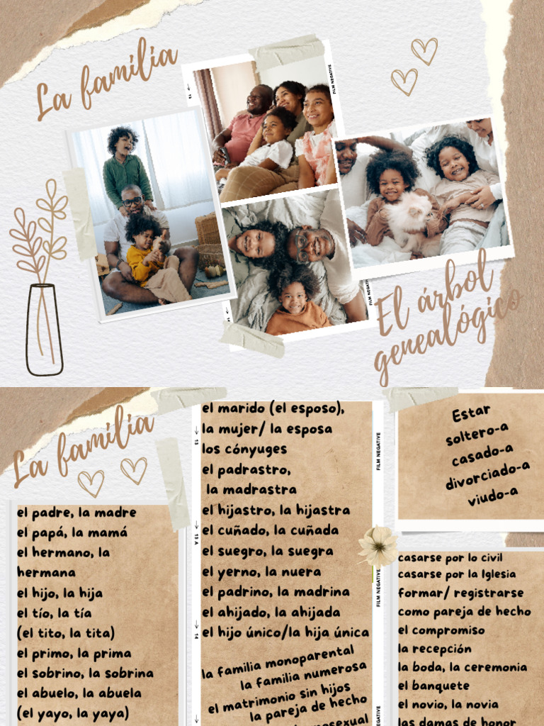 6A1. La Familia, Vocabulario | PDF | Padrino | Parentesco y descenso