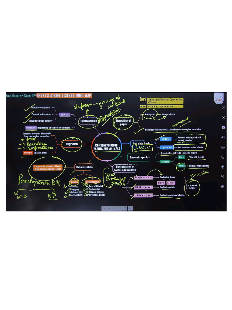 Mind Map 3 | PDF