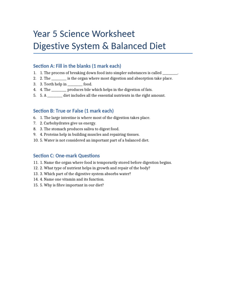 Year 5 Digestive System Worksheet | PDF