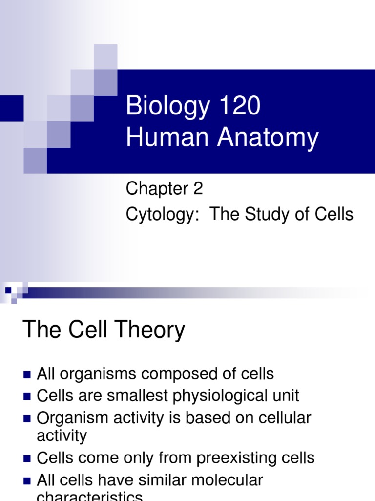 Human Anatomy Chapter 2 | PDF | Cell (Biology) | Cell Membrane
