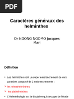 Diagnostic des grosses bourses aiguës | PDF | Testicule | Médecine clinique