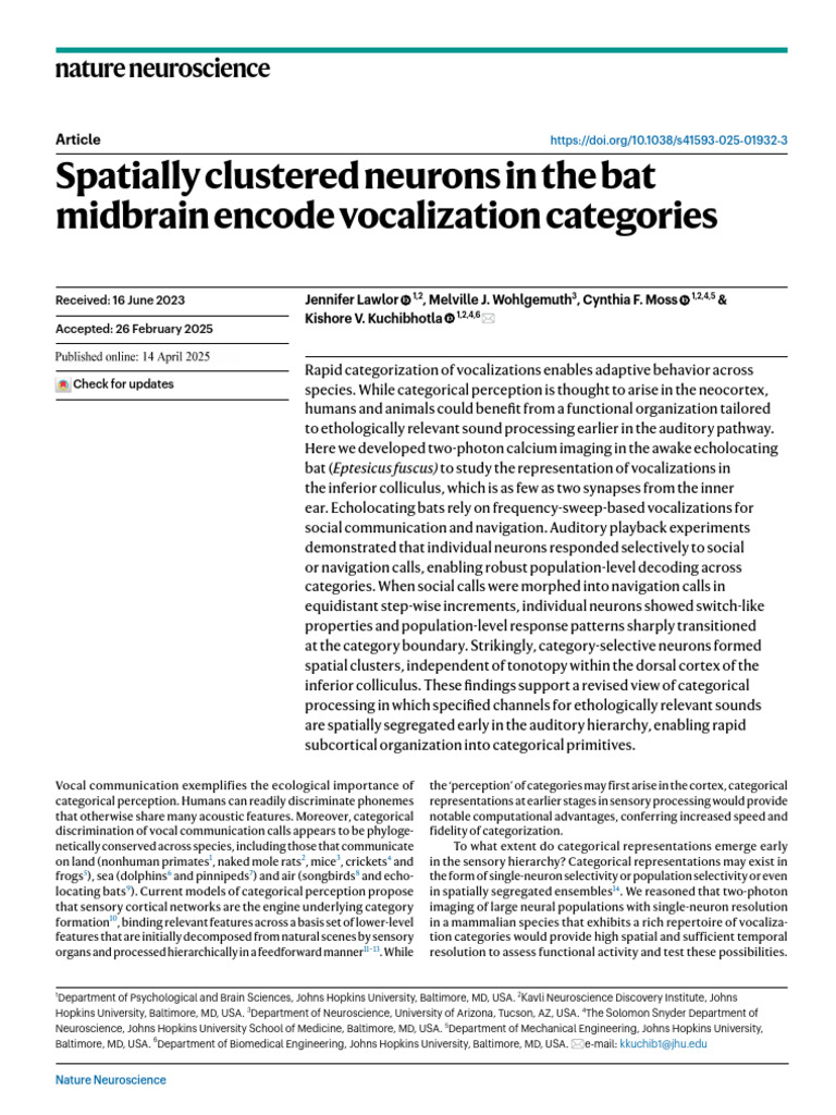 Spatially Clustered Neurons in The Bat Midbrain Encode Vocalization Categories | PDF ...