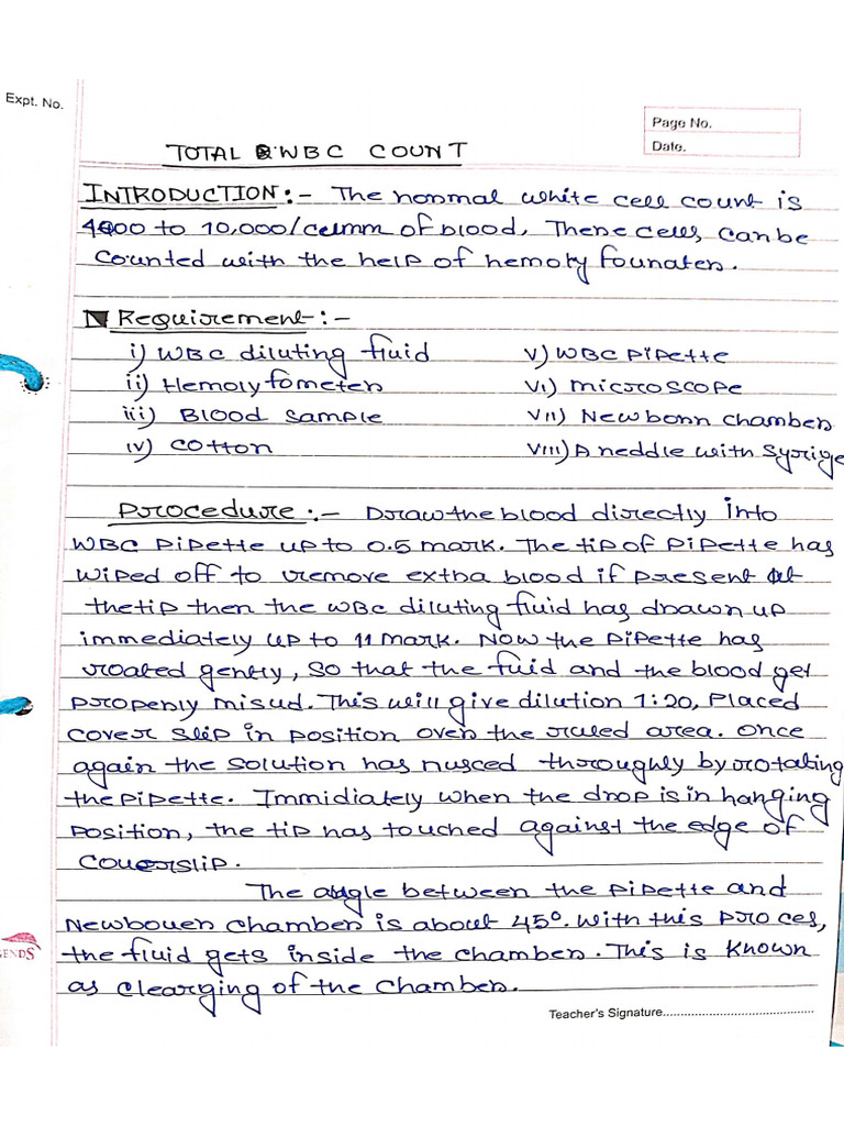 WBC & RBC Practical | PDF