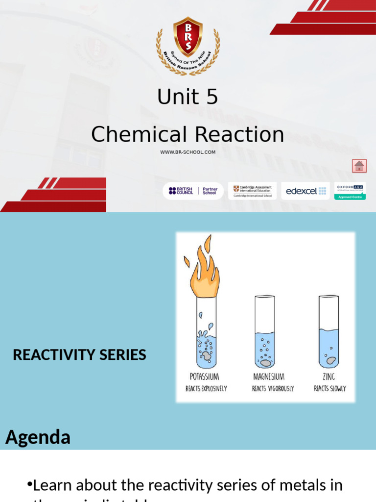 5.1 Reactivity Series | PDF | Chemical Reactions | Metals