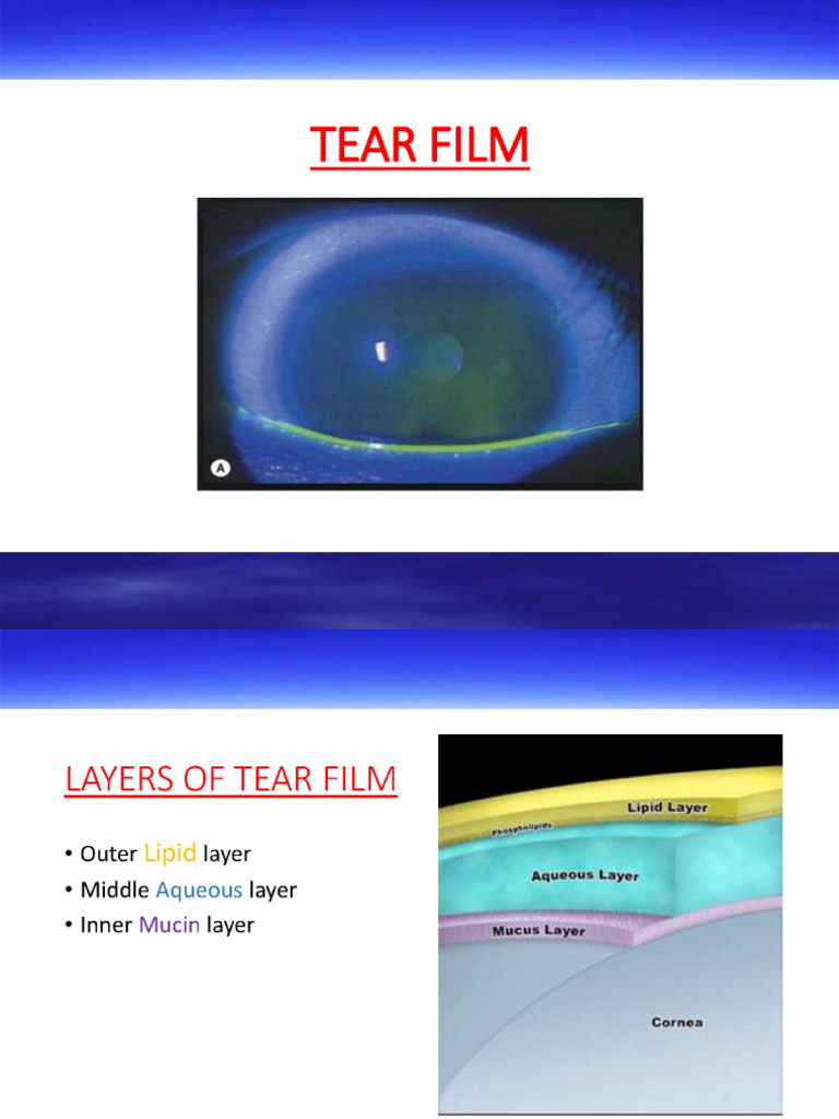Eyelid & Tear Film | PDF