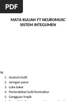 Anatomi Sistem Integumen | PDF