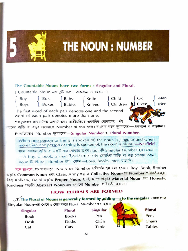 My Noun & Pronoun | PDF