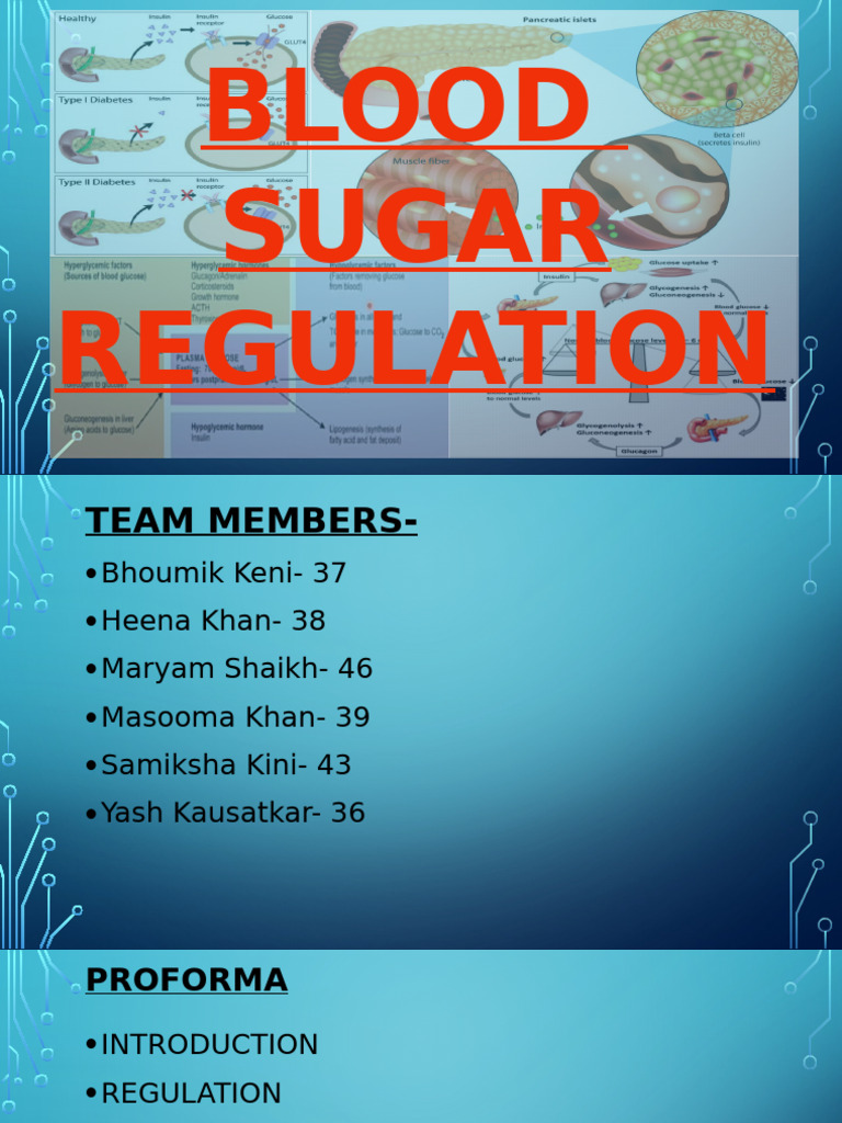 Blood Sugar Regulation | PDF | Insulin | Glucose