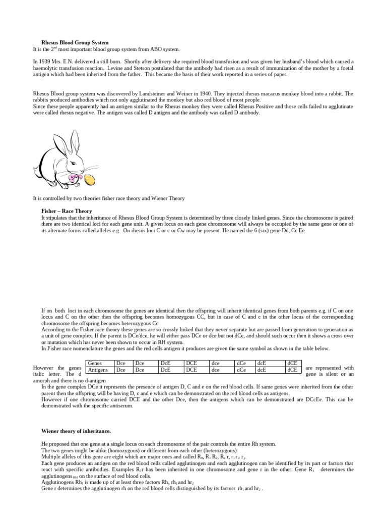 9) Rhesus Blood Group System | PDF | Blood Type | Zygosity