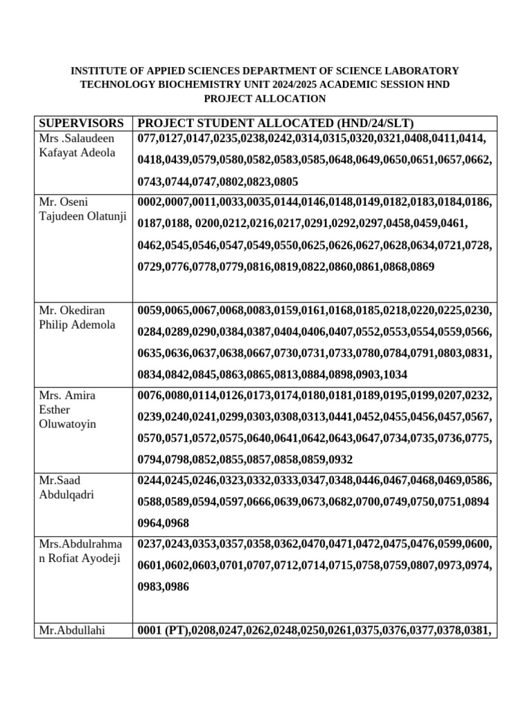 2024-2025 Project Allocation | PDF
