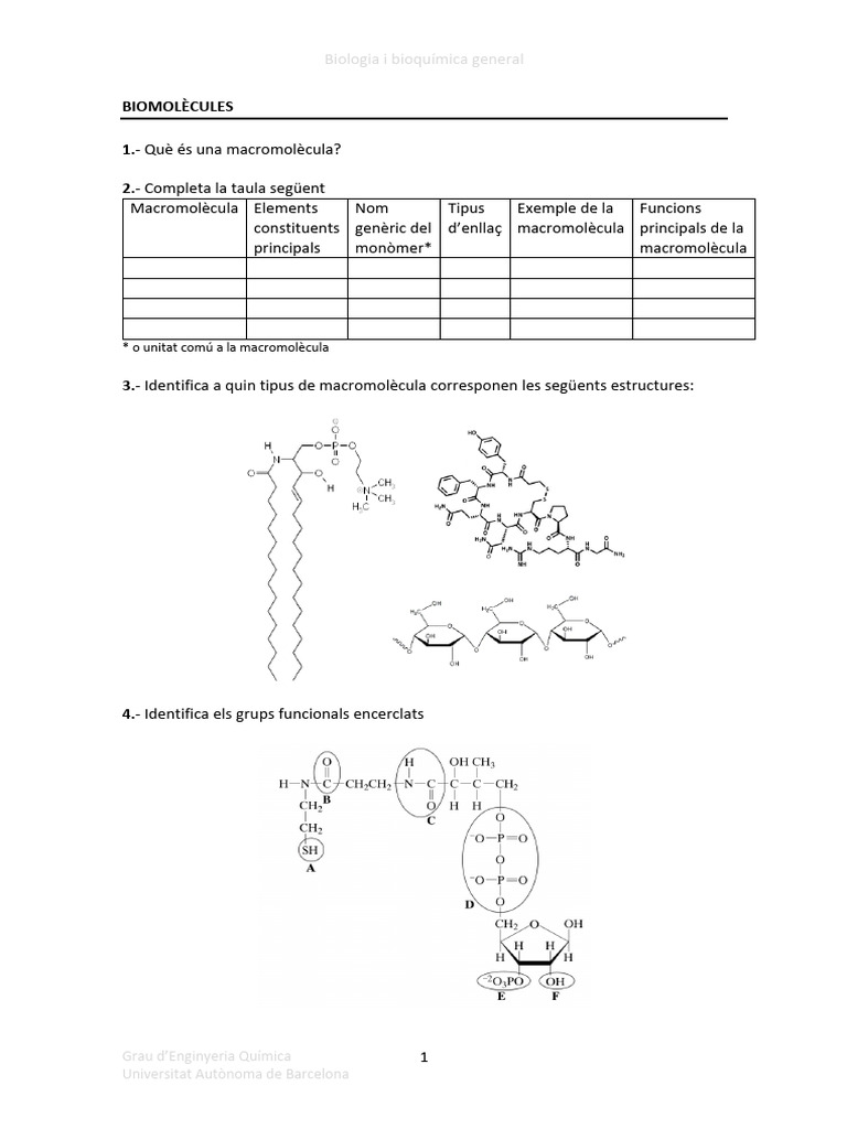 01 Ex Biomolecules | PDF