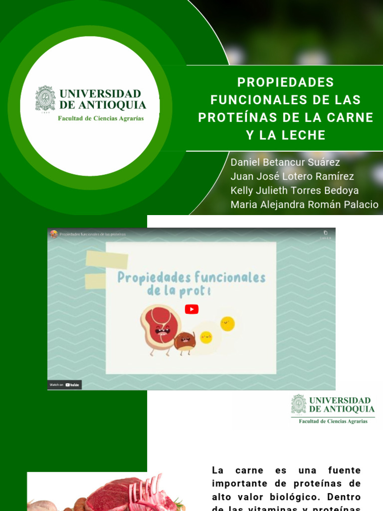 Propiedades Funcionales de Las Proteínas de La Carne y La Leche | PDF | Carne | Proteínas