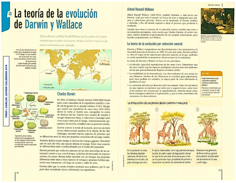 La Teoria de La Evolucion de Darwin y Wallace | PDF