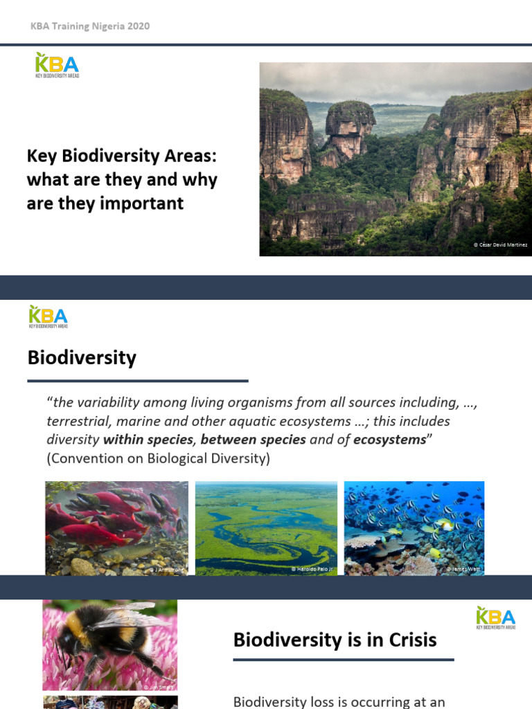 Understanding Key Biodiversity Areas | PDF | Biodiversity ...