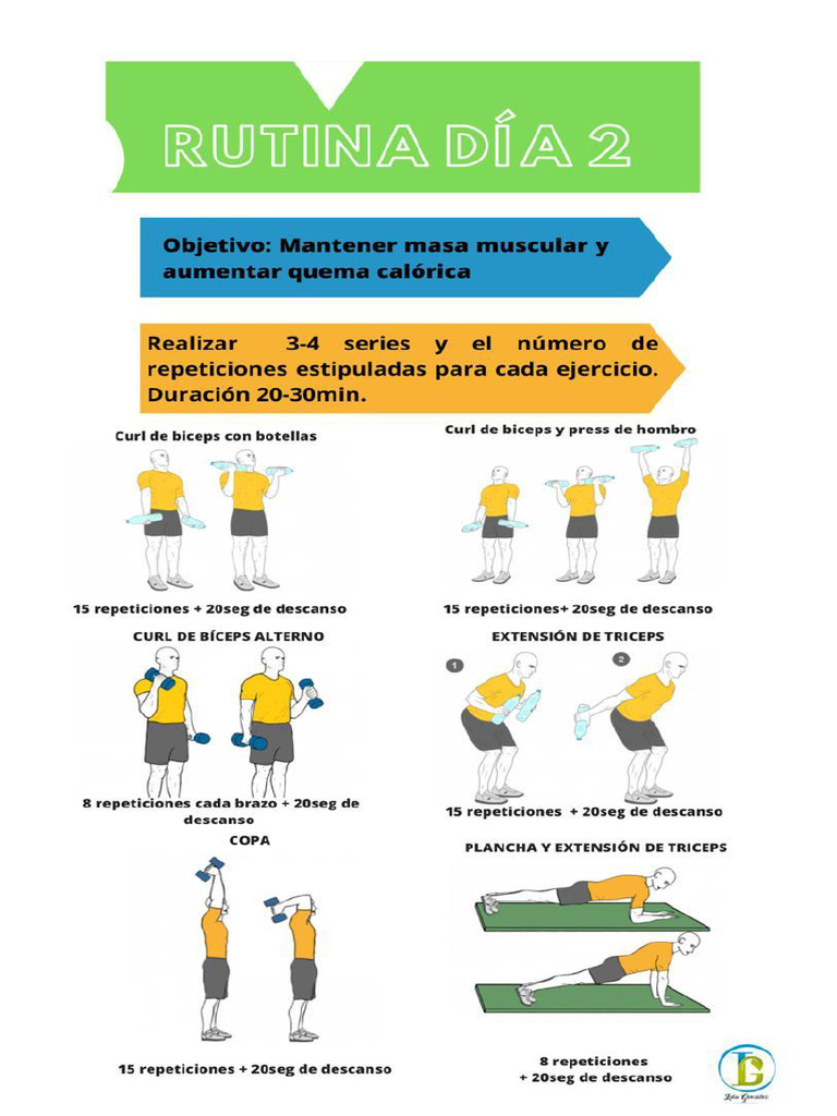 Rutina Bicep y Tricep | PDF