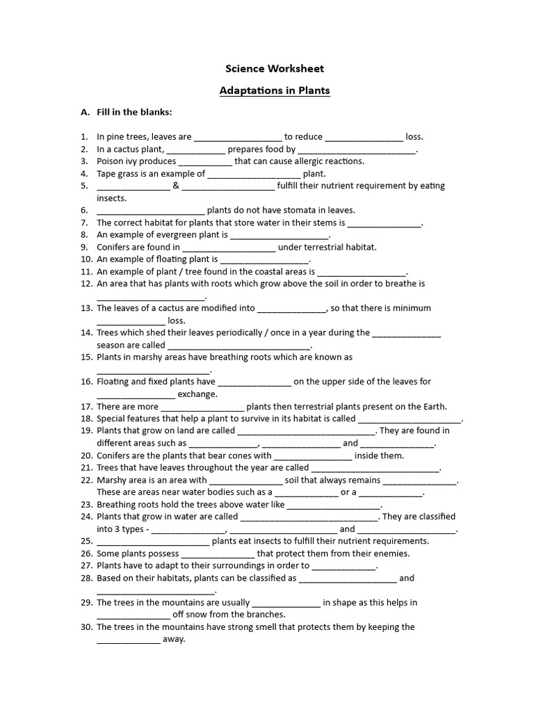 Plant Adaptations Worksheet for Grades 4-5 | PDF | Plants | Trees