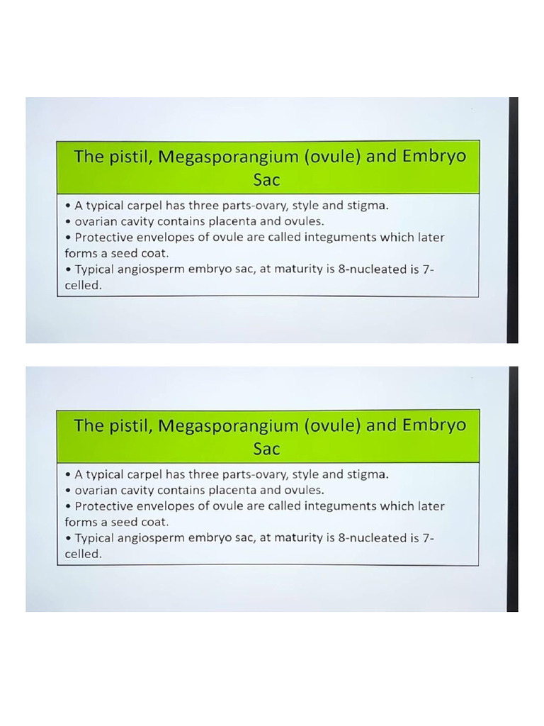 Sexual Reproduction in Flowering Plants Slides 2perpage | PDF