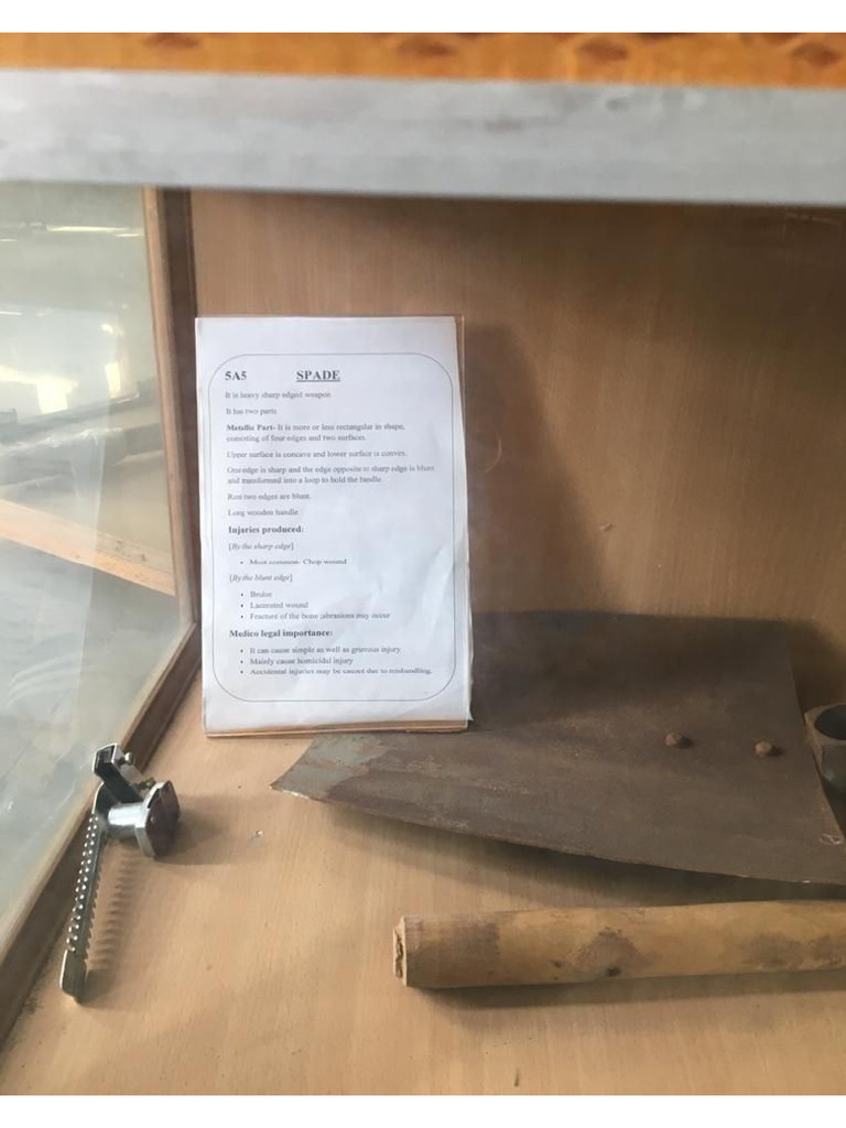 FMT Spotters PDF | PDF