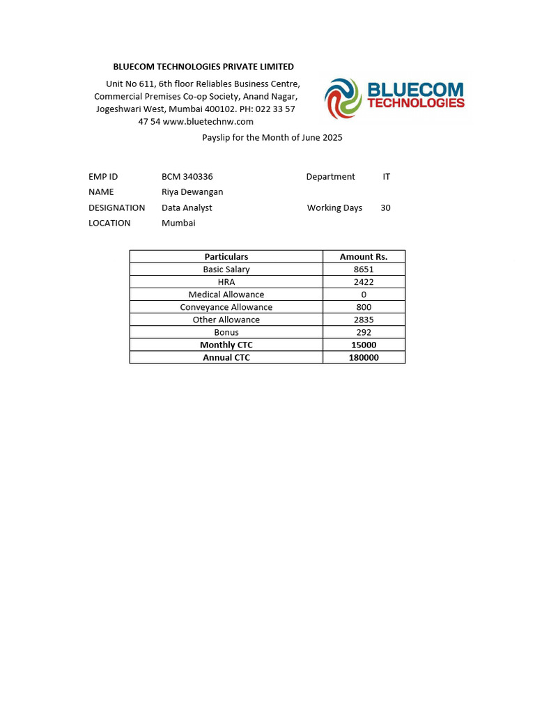 June 2025 Payslip | PDF