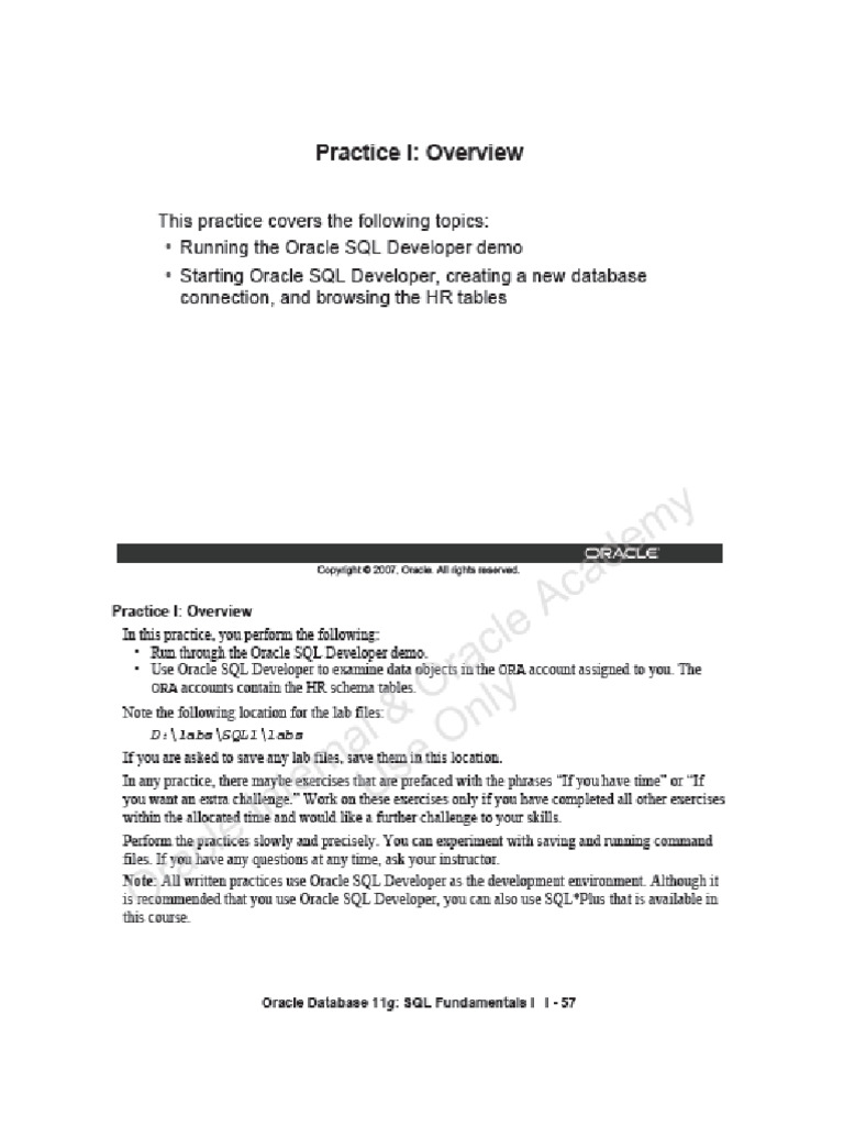 ICT501 Lesson Lab Exercise | PDF