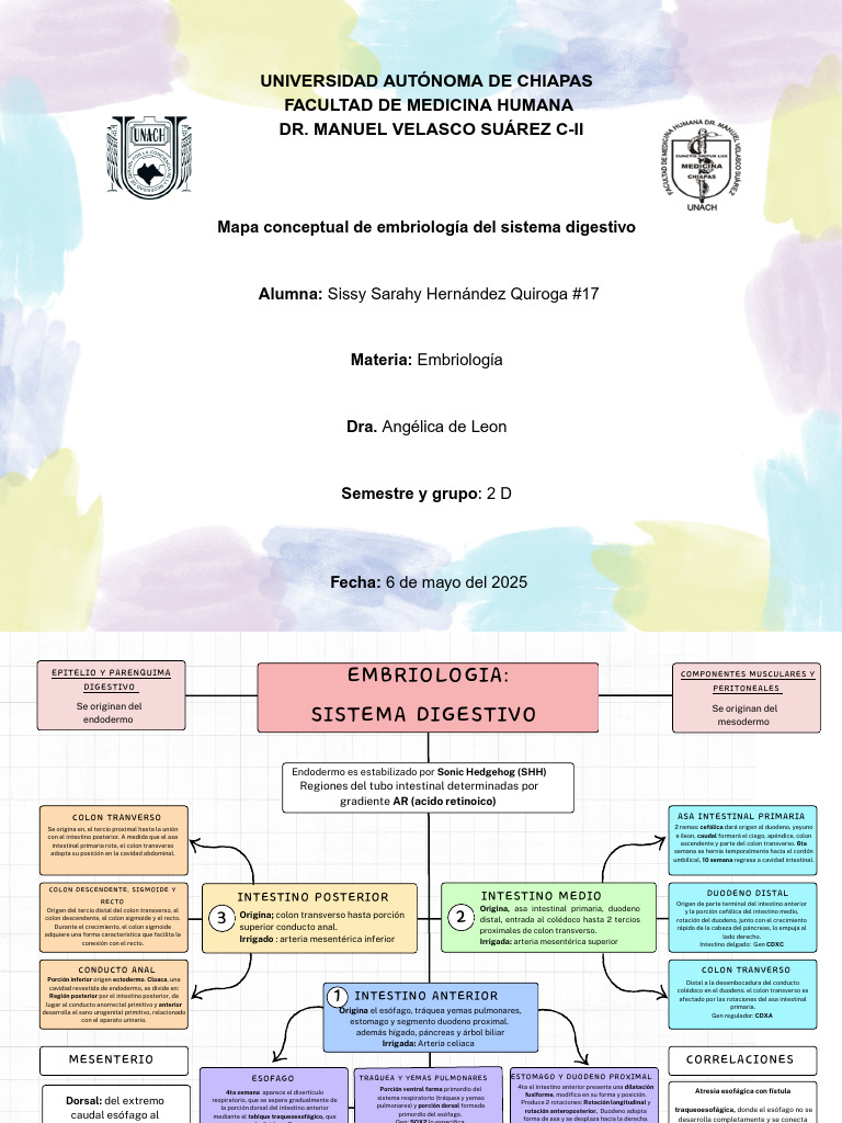Embriologia Mapa Sissy Hernandez | PDF | Tracto gastrointestinal ...