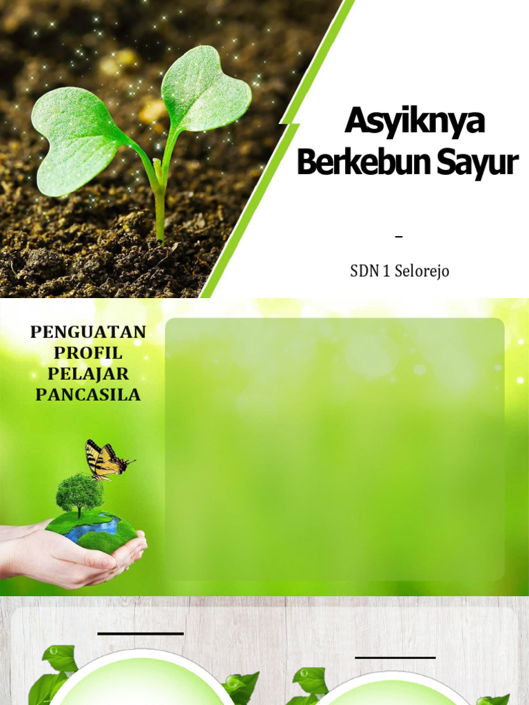Modul Projek Kelas 4 Pdf