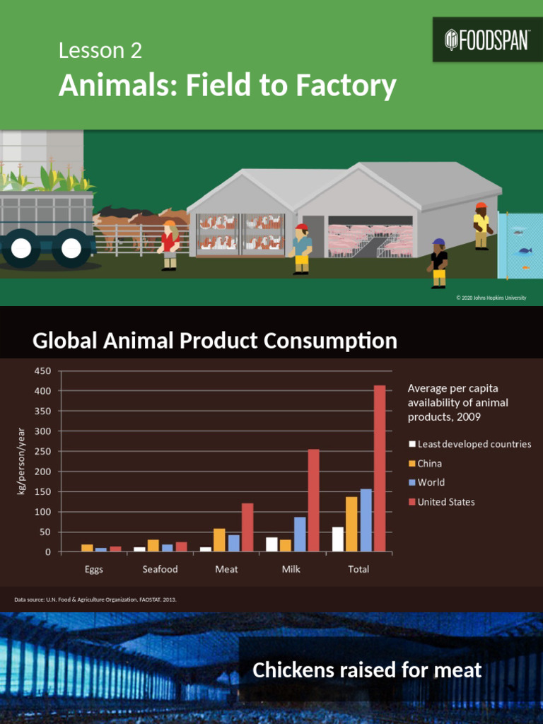 Lesson2 Animals Slides | PDF