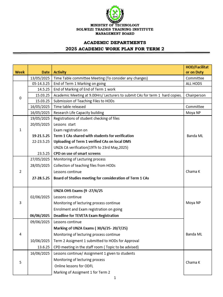 2025 Sotti Work Plan For Term 2 | PDF