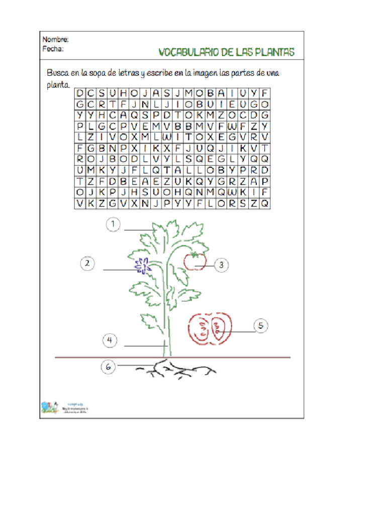 Doc1.docx Sopa de Letras | PDF