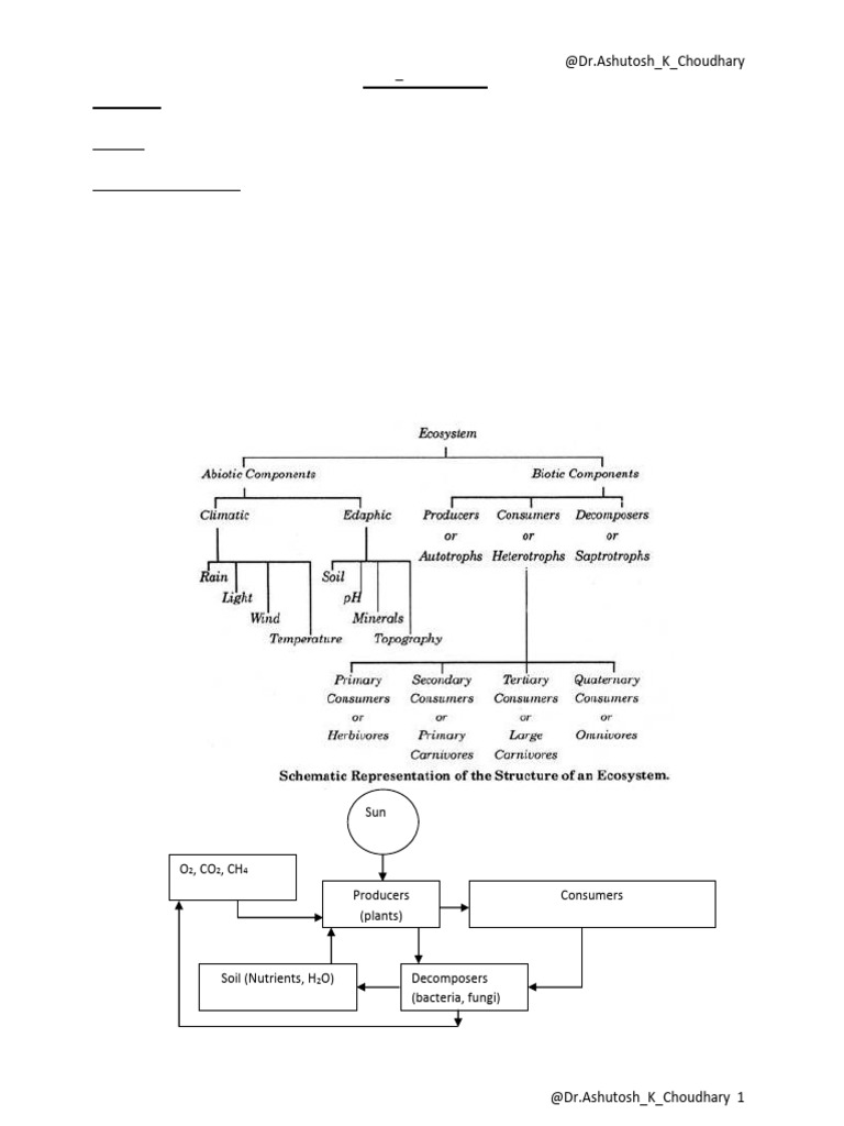 Unit 2 Notes Ecosystems | PDF | Ammonium | Ecosystem