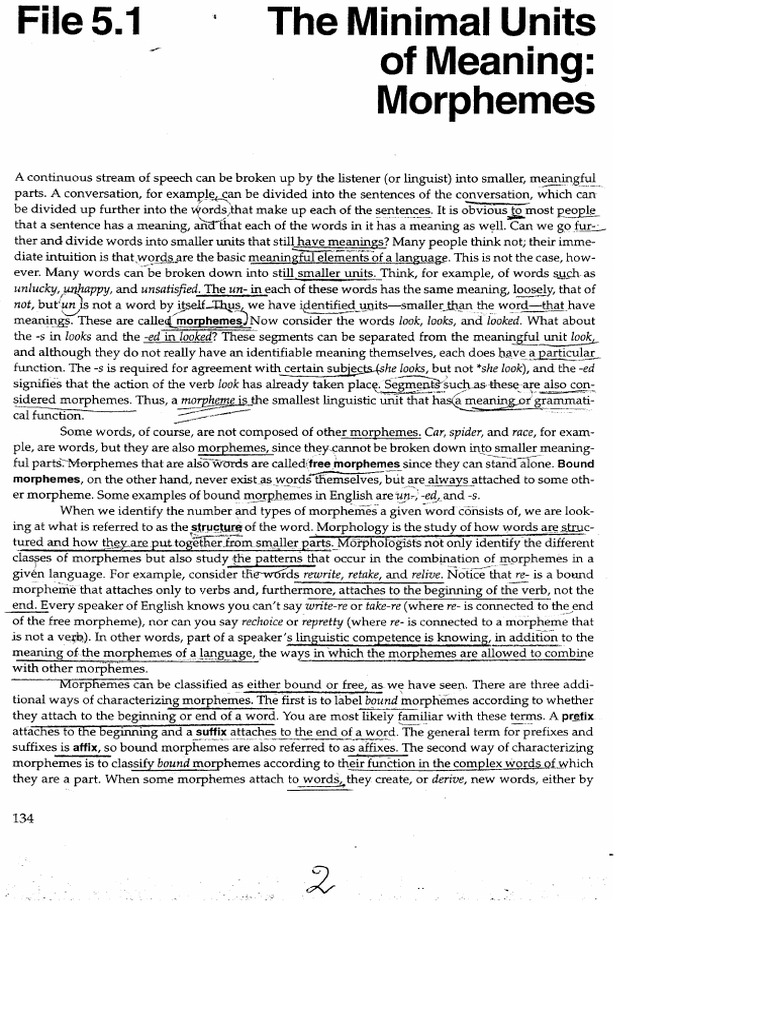 Morphology Extra Material | PDF