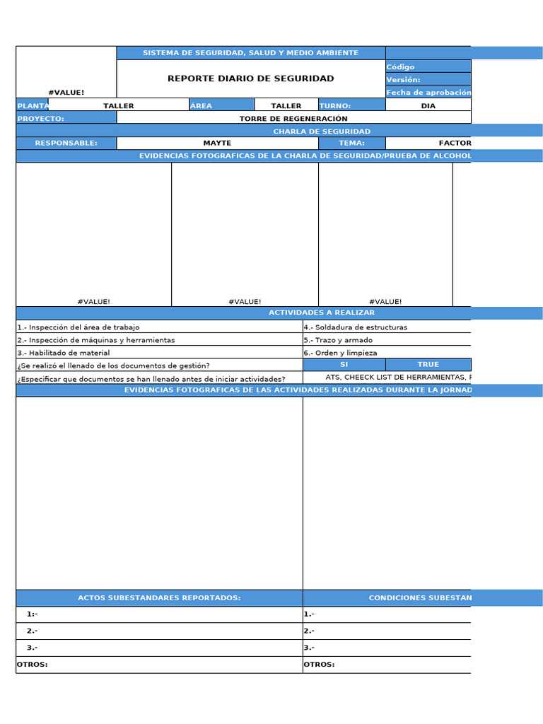 Reporte Diario de Seguridad | PDF