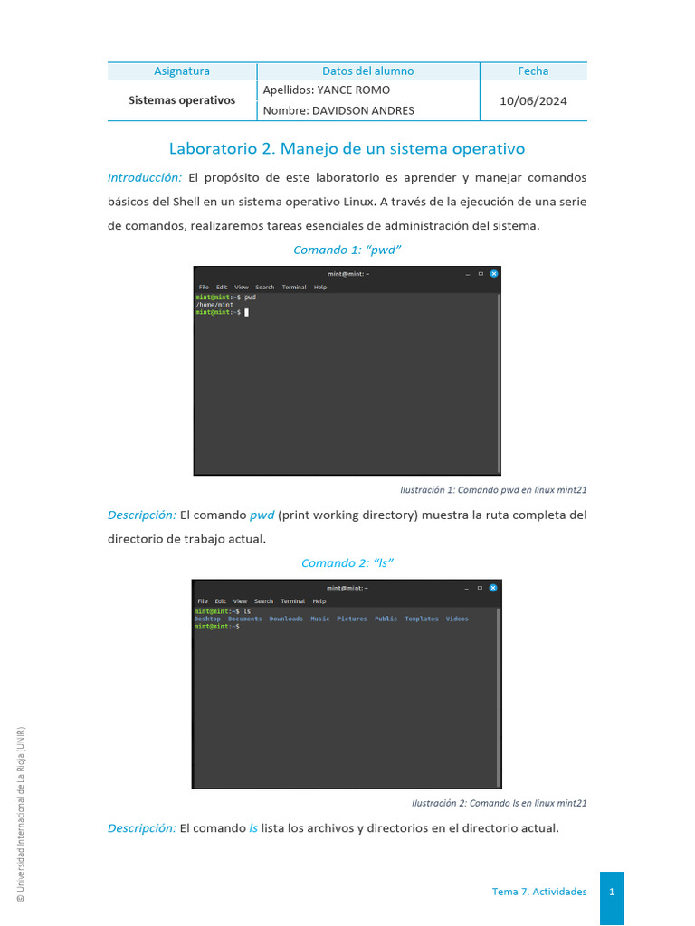 Manejo de Un Sistema Operativo | PDF | Archivo de computadora | Sistema operativo