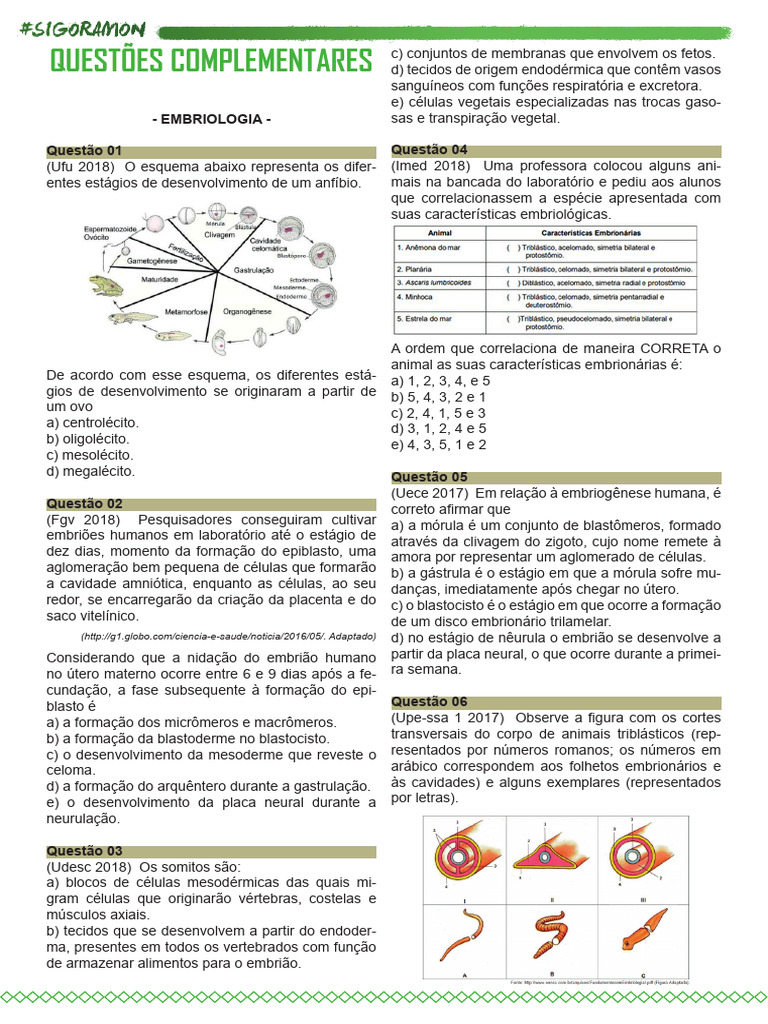 QUEST-ES-COMPLEMENTARES---EMBRIOLOGIA | PDF | Ovo | Gêmeo