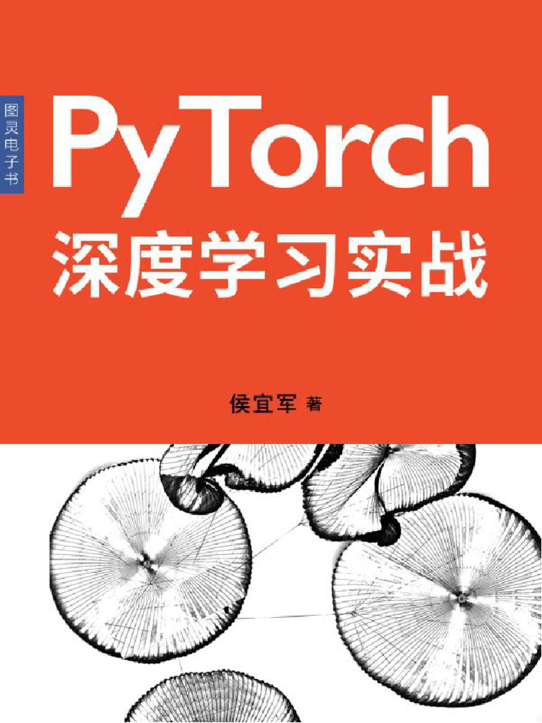 PyTorch深度学习实战 - 侯宜军 | PDF