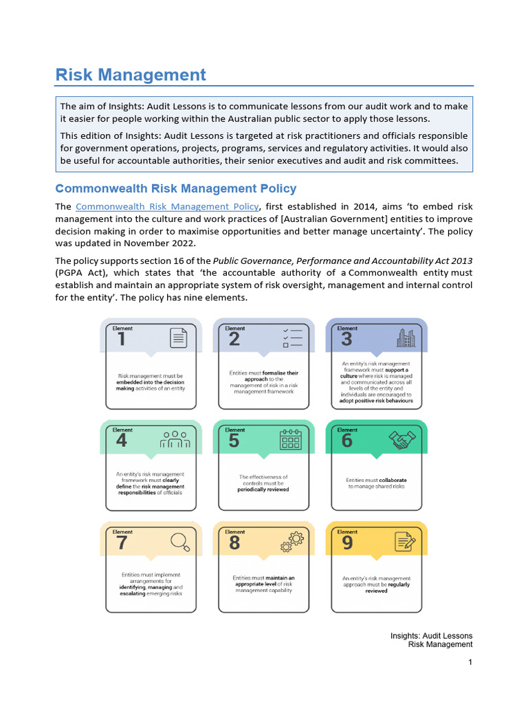 Audit Insights - Risk Management | PDF | Audit | Risk Management