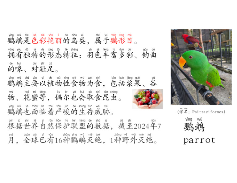 Parrot | PDF