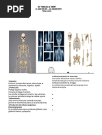 Examen Sistema Oseo | PDF