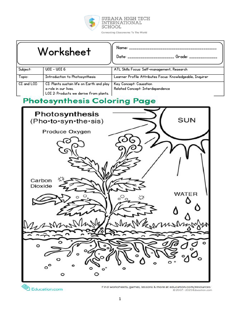 Introduction To Photosynthesis | PDF