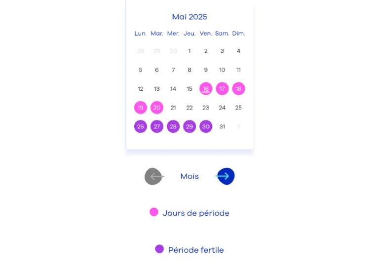 Period Calendar | PDF