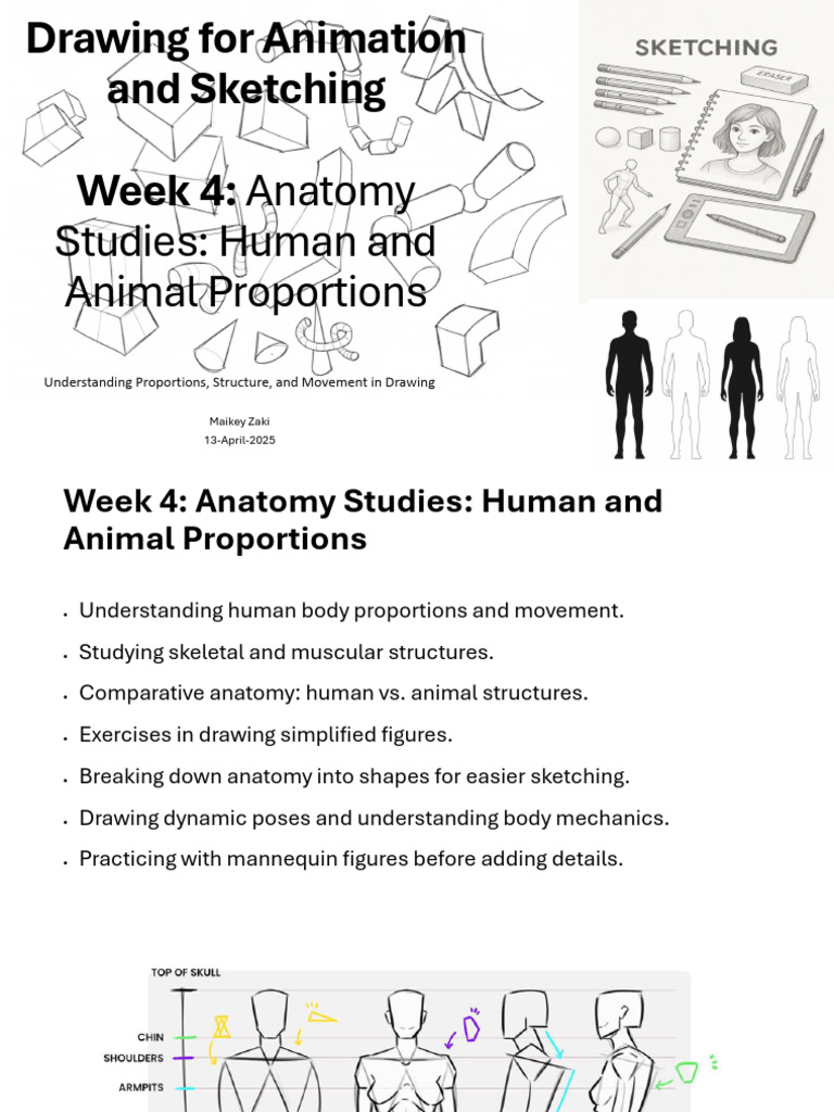 Lect-4-Anatomy Studies Human and Animal Proportions | PDF | Skeleton ...
