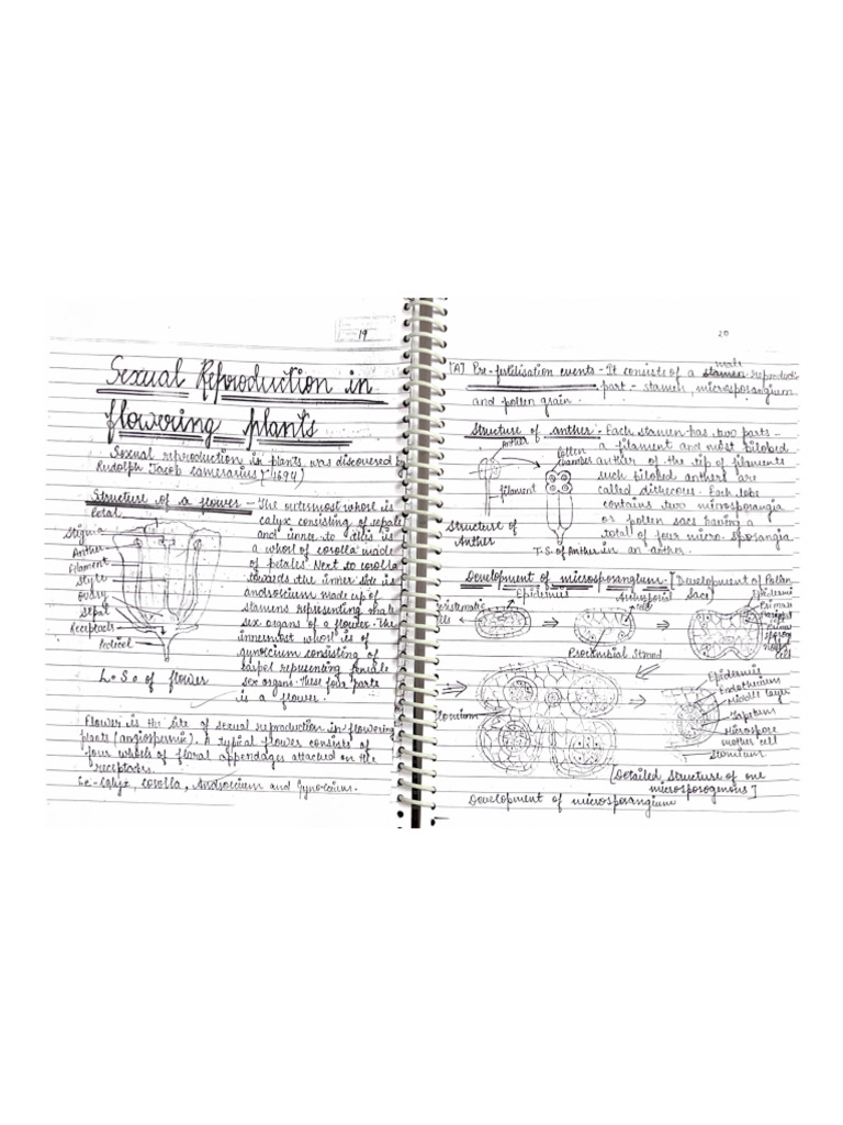 Scanned Documents | PDF