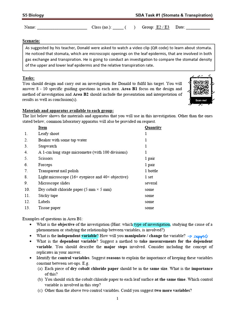Stomatal Density and Transpiration - Student Tasksheet | PDF | Stoma ...