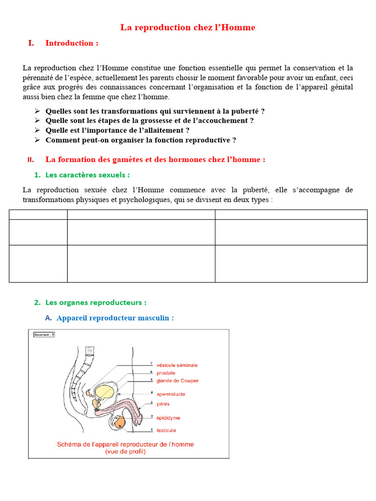 Reproduction humaine et appareil génital | PDF | Cycle menstruel ...