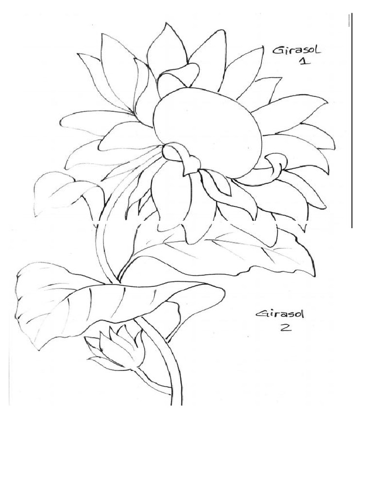 Girasol%%% | PDF