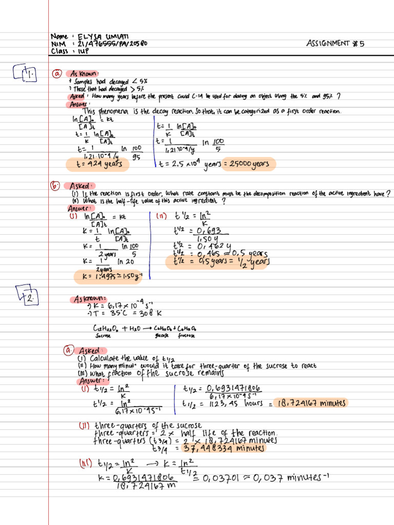 IUP 476555 Elysa Umiati | PDF