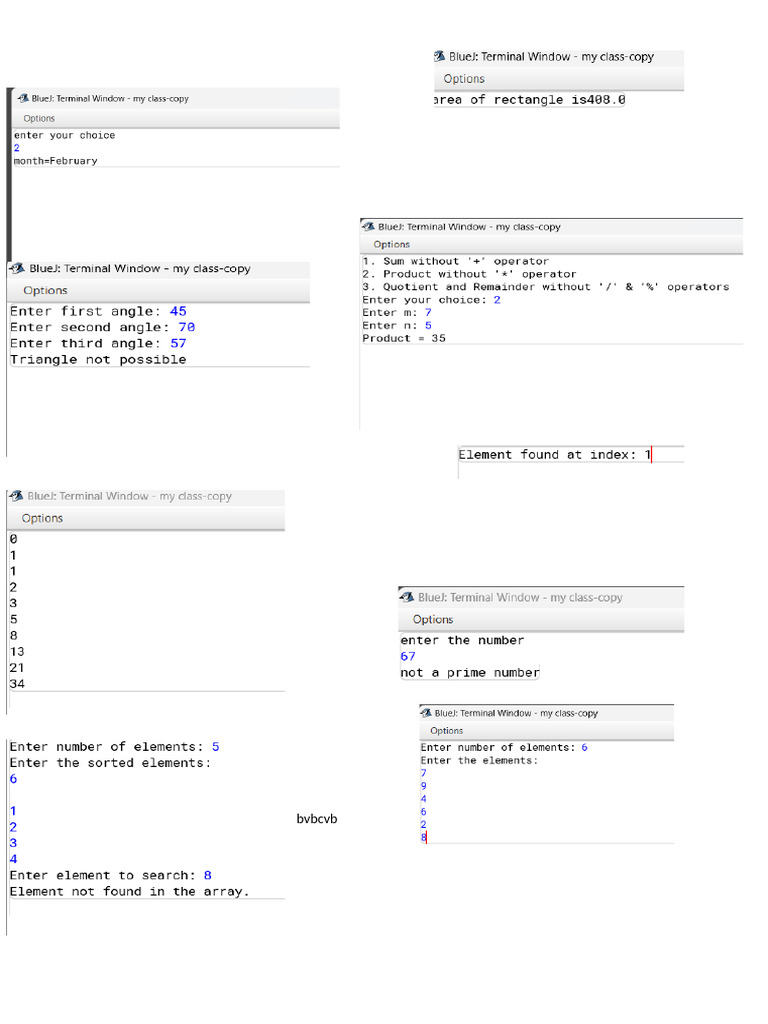 Computer Outputs | PDF