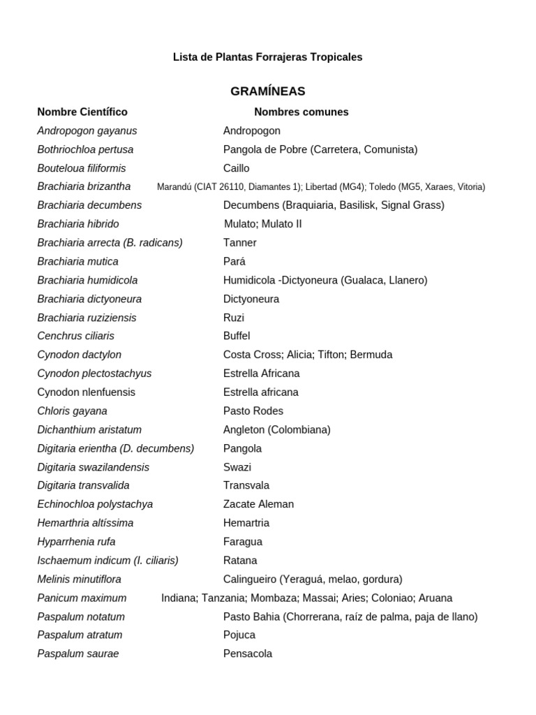 Lista de Pastos Tropicales | PDF | Césped | Forraje