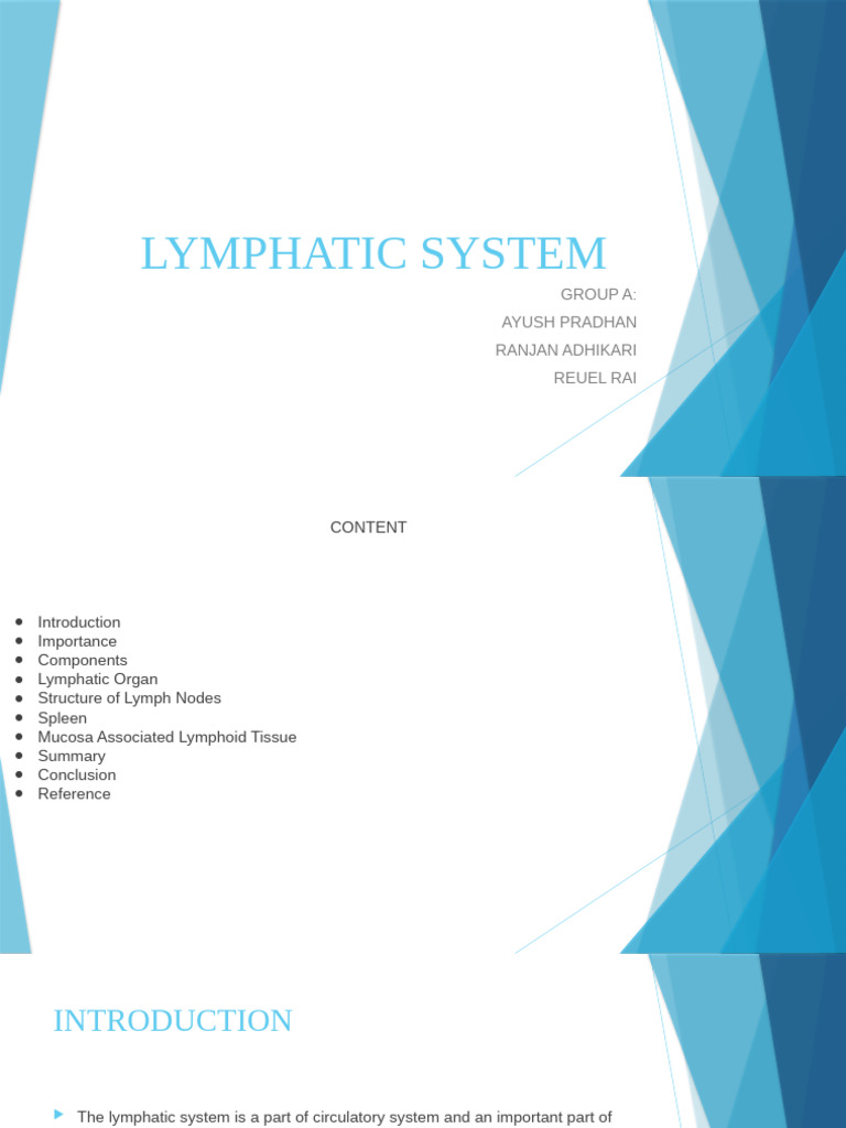 Lymphatic System Final | PDF | Lymphatic System | Lymph Node